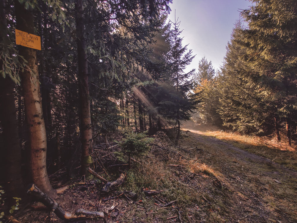 Kłodzka Góra – najkrótszy szlak z wieżą widokową – PODRÓŻE